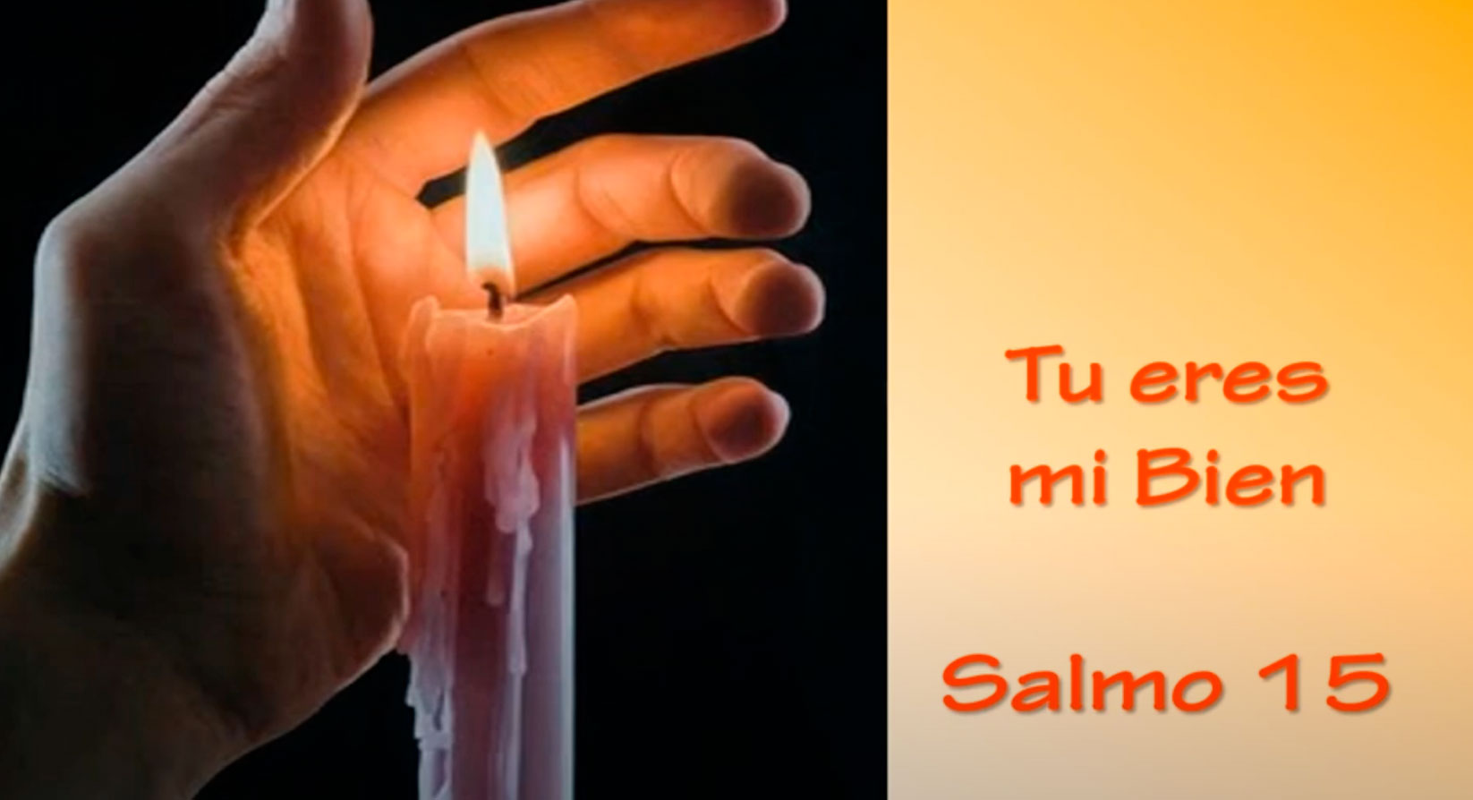 "Tú eres mi bien" (Salmo 15) - Nuestra Señora de la Vida